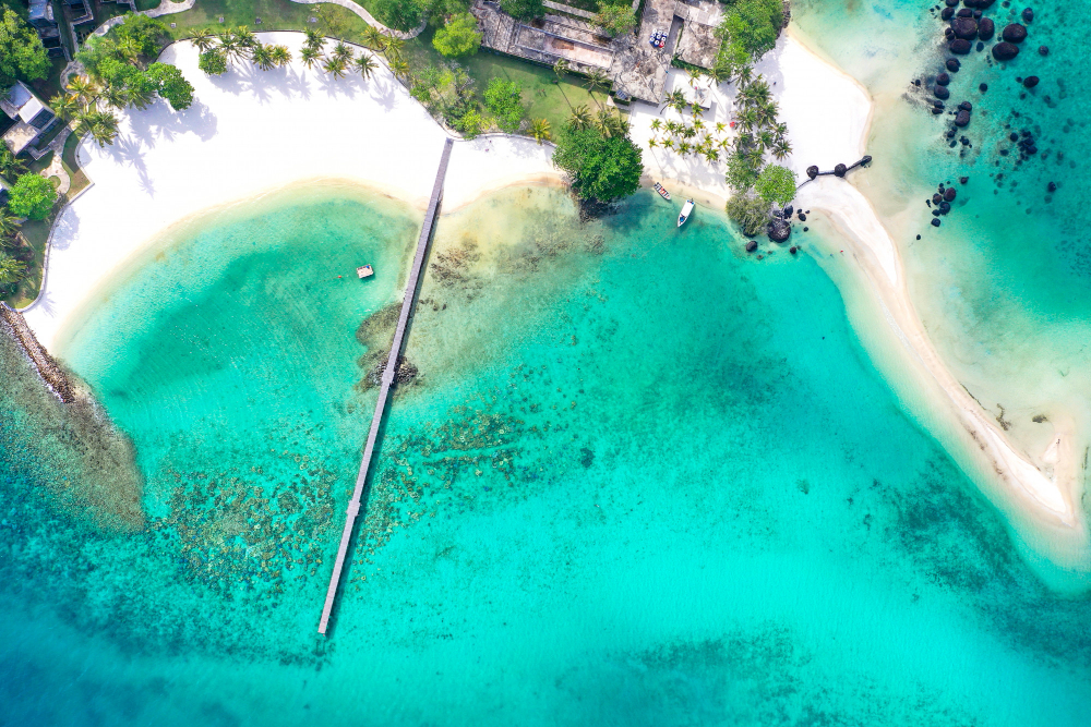 Plaje de vis din Maldive - Perfectum